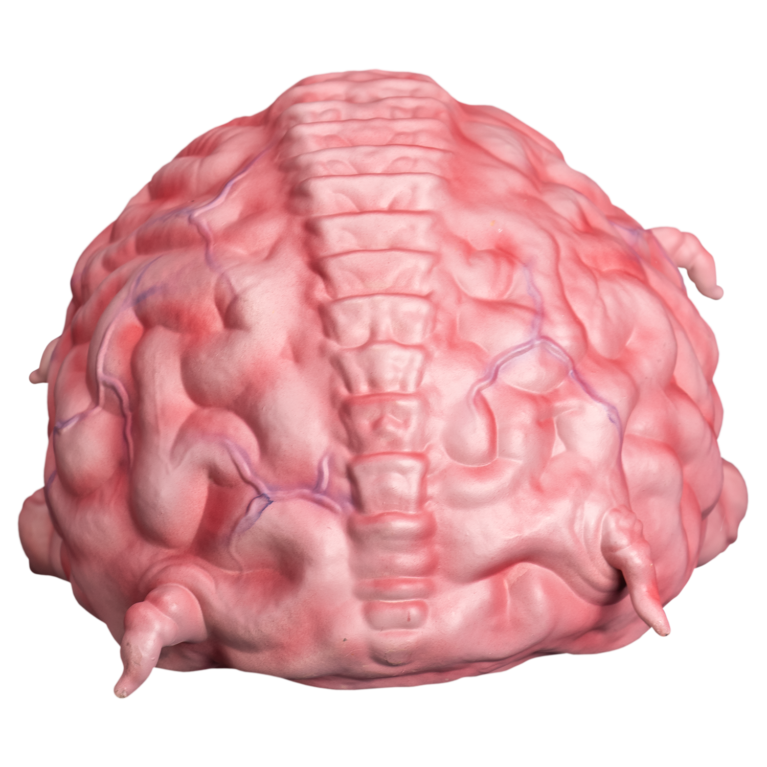 Teenage Mutant Ninja Turtles - Krang Prop – Trick Or Treat Studios