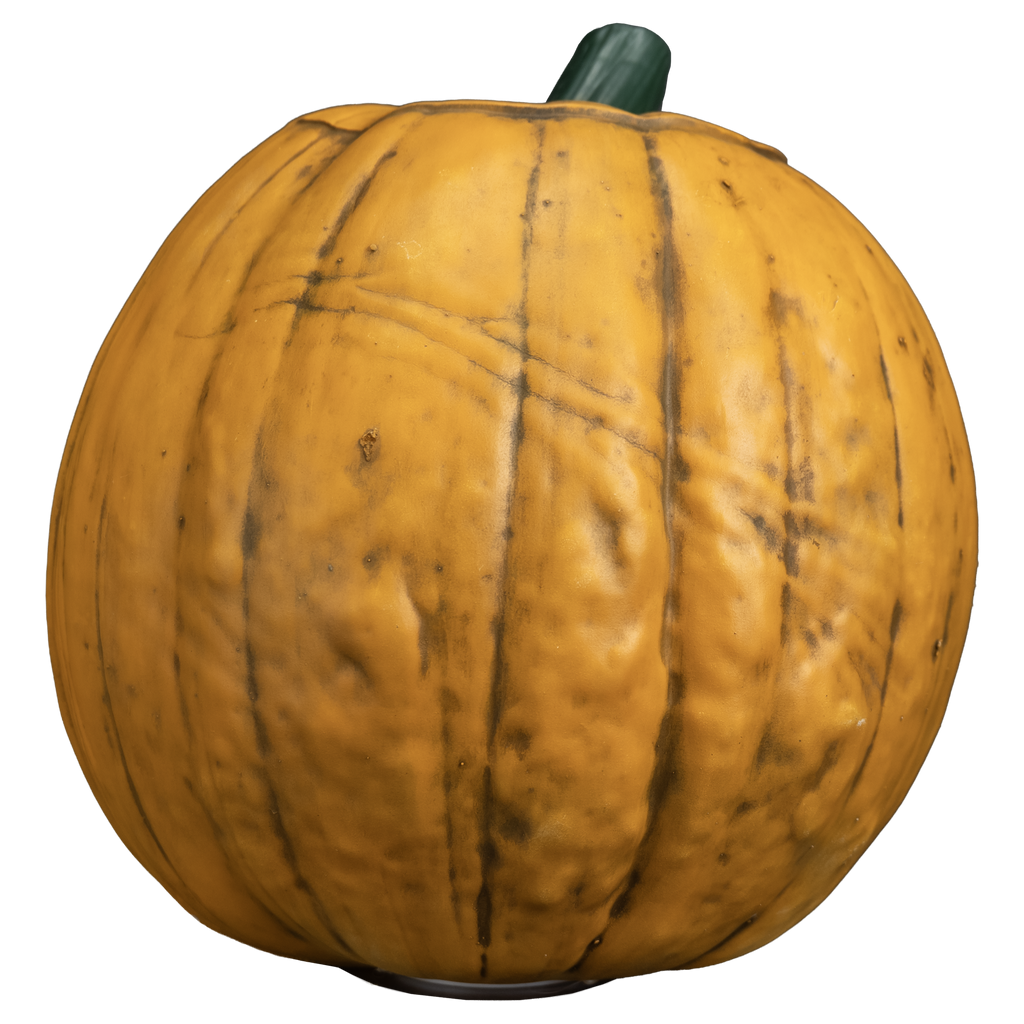 *PRE-ORDER* Sleepy Hollow - Light up Pumpkin Prop – Trick Or Treat Studios