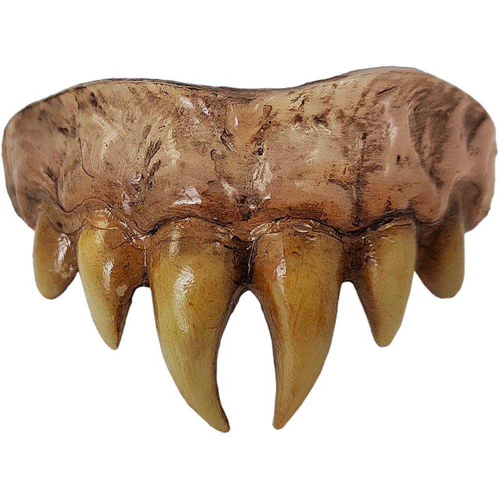 Bitemares Horror Teeth - Underling – Trick Or Treat Studios